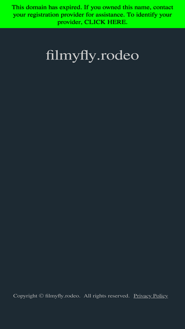 filmy4web.biz.in Competitors - Top Sites Like filmy4web.biz.in | Similarweb