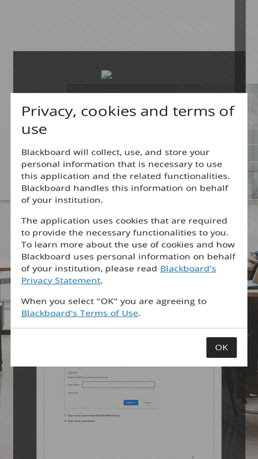 Vut blackboard store