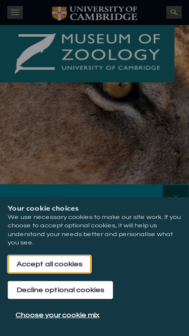 museum.zoo.cam.ac.uk Traffic Analytics, Ranking & Audience [April 2026 ...