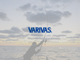 varivas.co.jp Traffic Analytics, Ranking & Audience [May 2025] | Similarweb